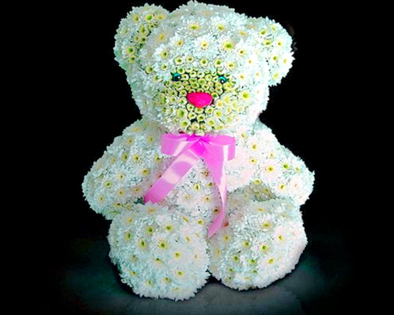 Ursuleti de Plus | Poze Super Misto