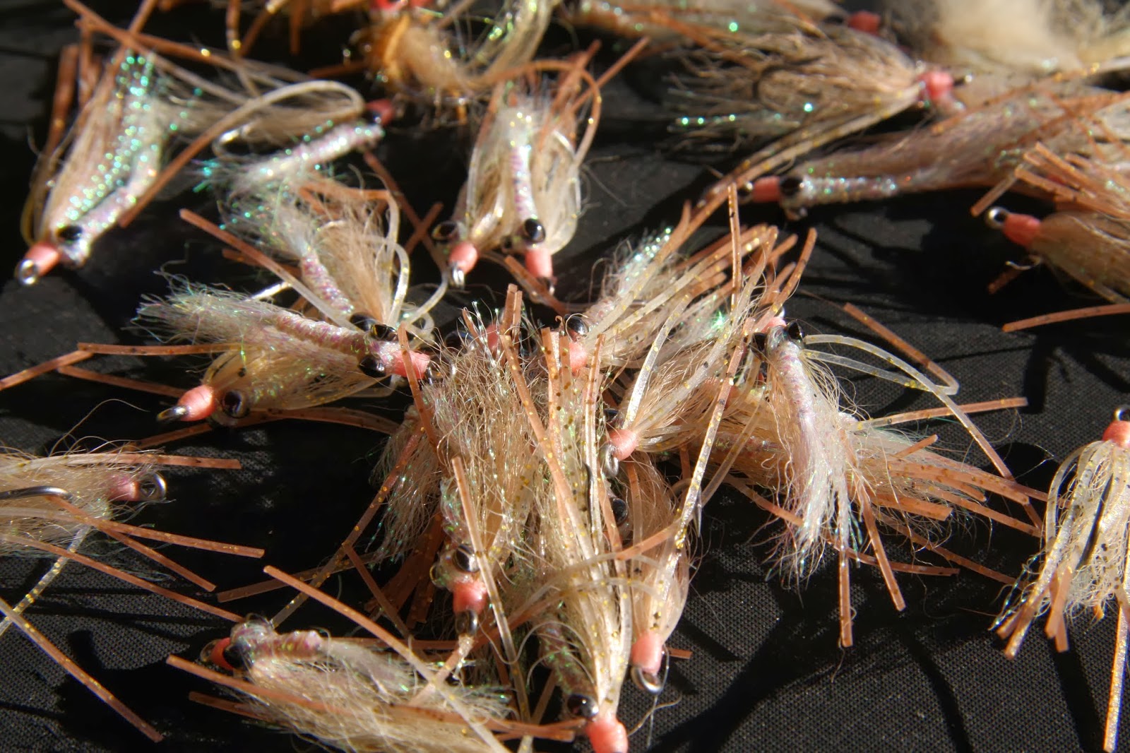 Fly Paper: Bonefish 101: A Few Hints to Improve Your Bonefishing