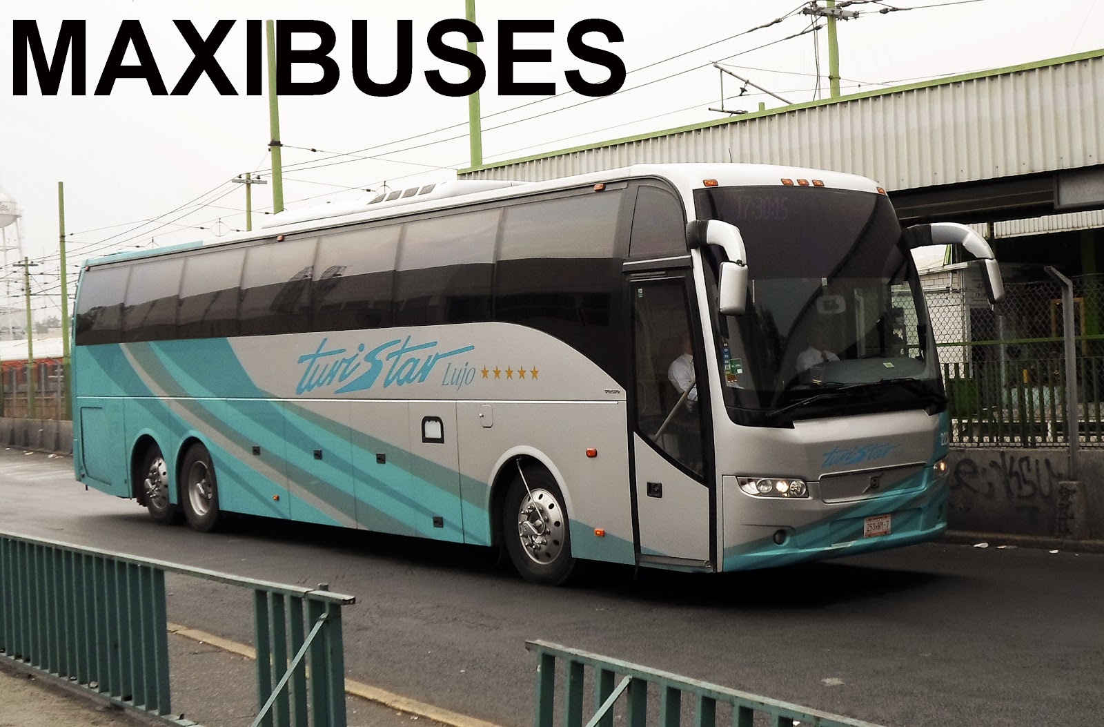 MAXIBUSES: TURISTAR LUJO