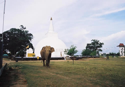 Tour Sri Lanka: Somawathie Temple - Sri Lanka
