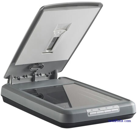 Software Engineering: PERANGKAT INPUT DAN OUTPUT