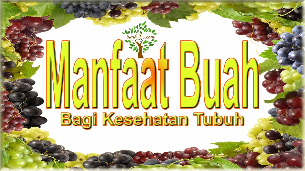 Manfaat Buah Buahan Bagi Kesehatan Tubuh Manusia