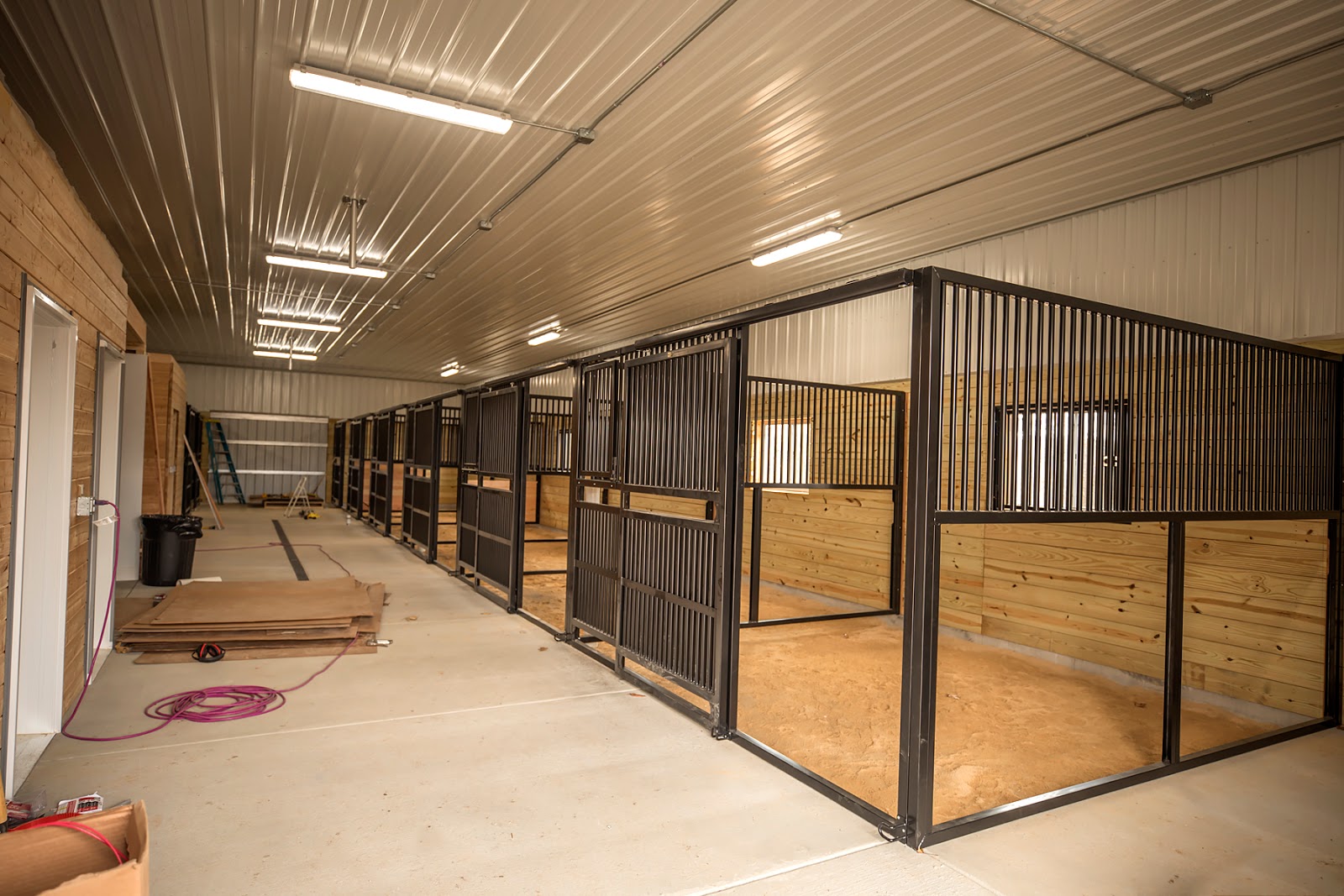 equine expressions: build-a-barn ~ stalls are up
