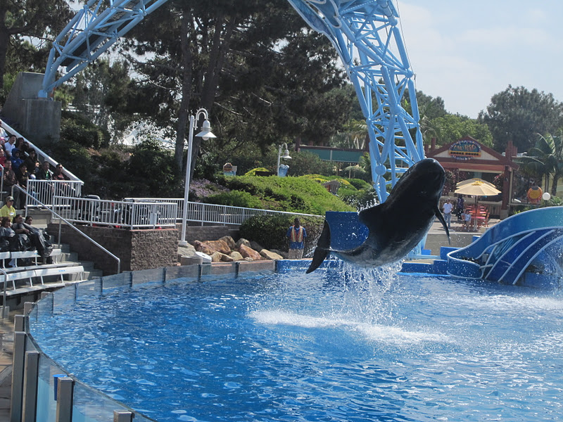 Une Française à San Francisco: San Diego part II : SeaWorld
