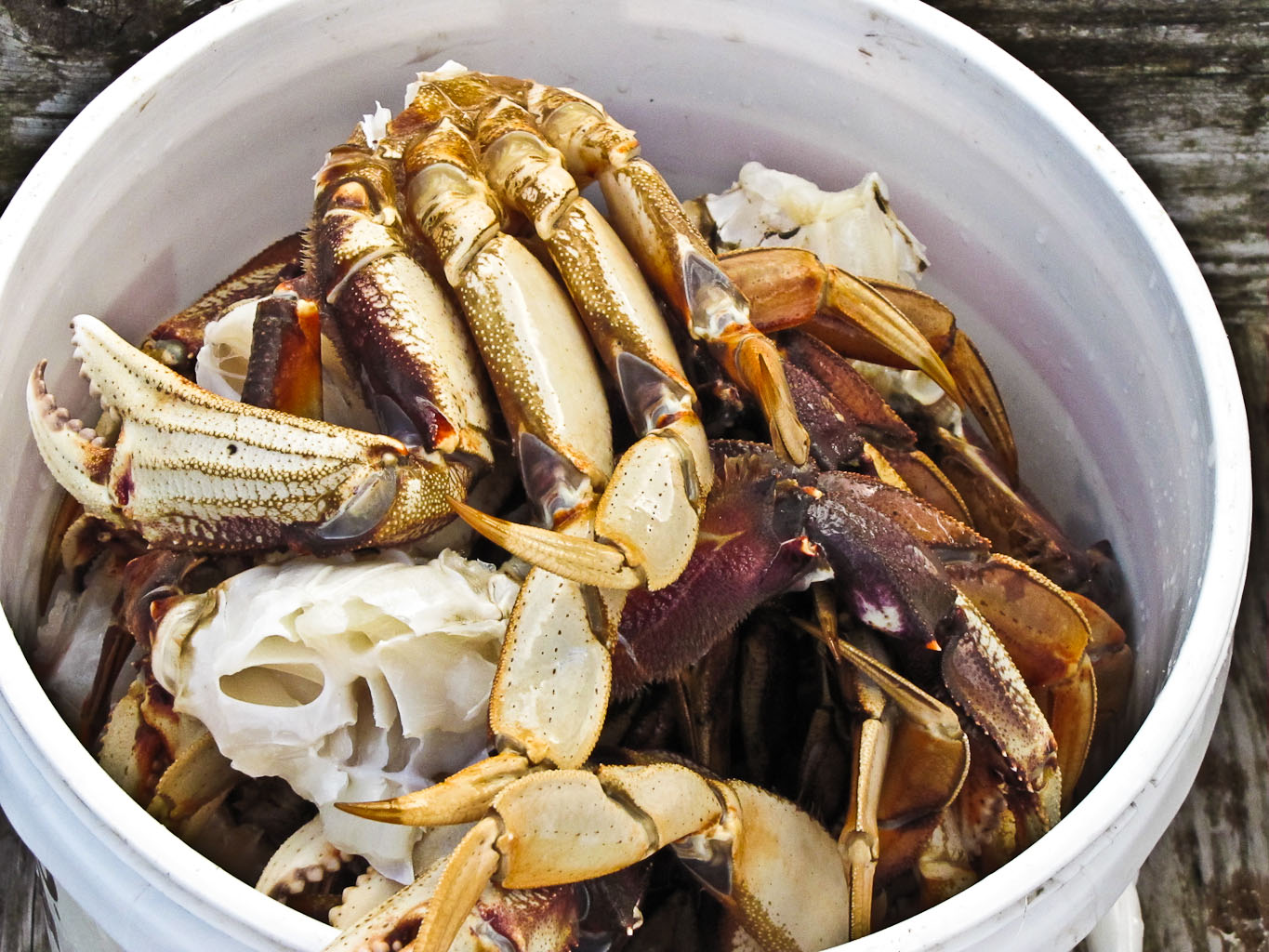 OnTheMove-In the Galley: Cruising Crab Dip