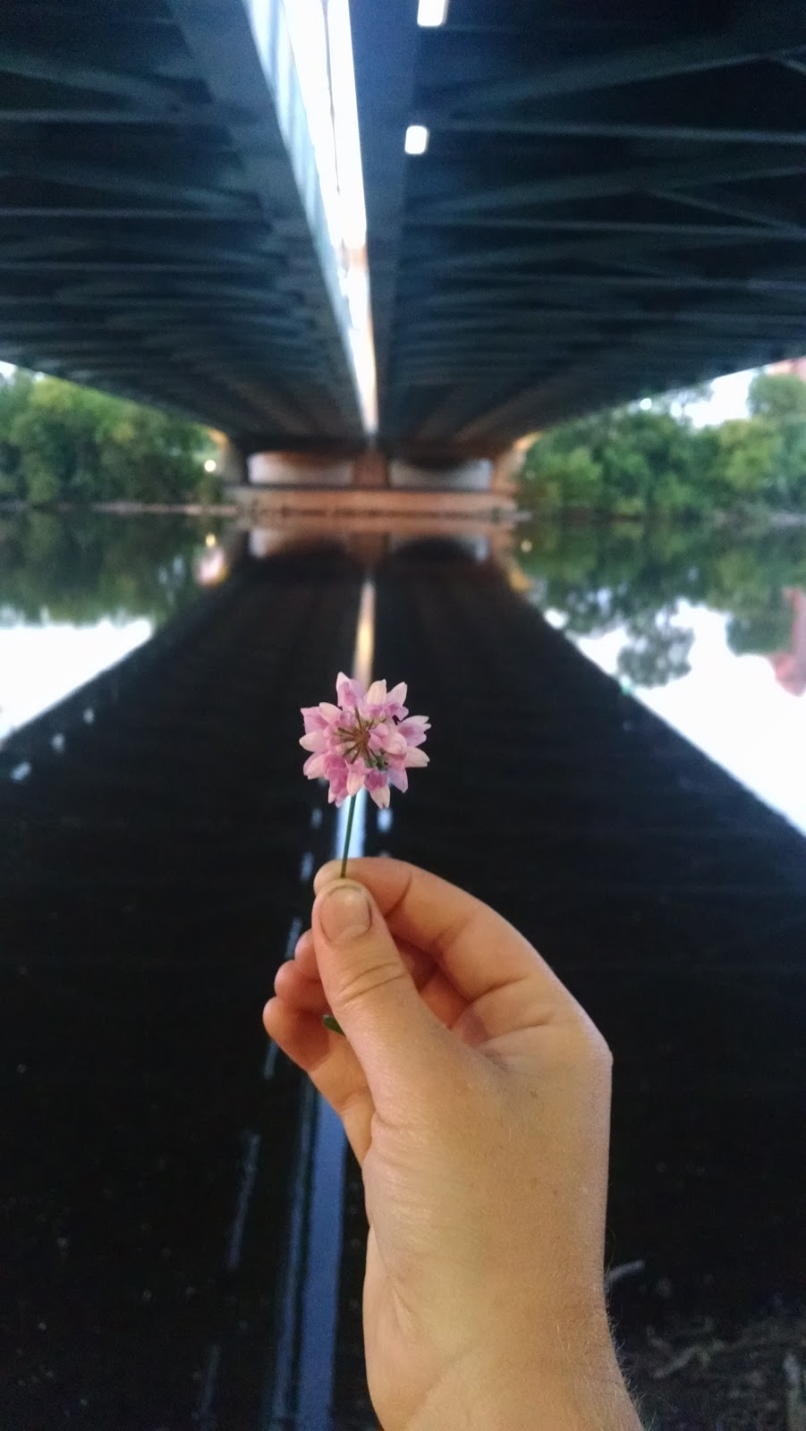 Washing Blood Stained Hands