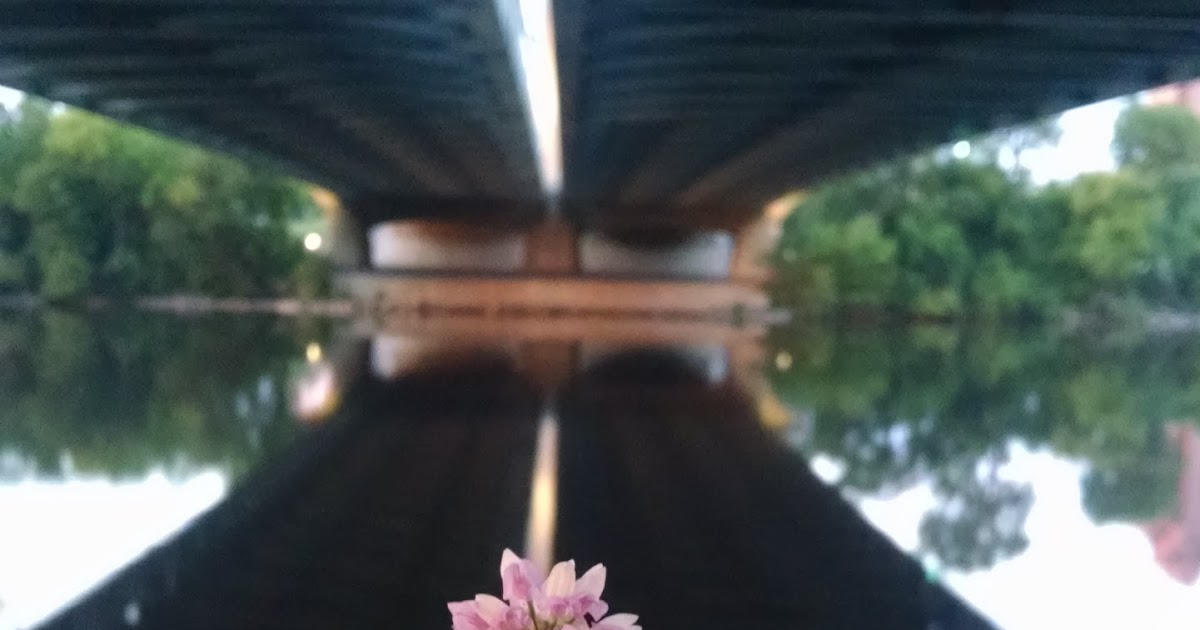 Washing Blood Stained Hands