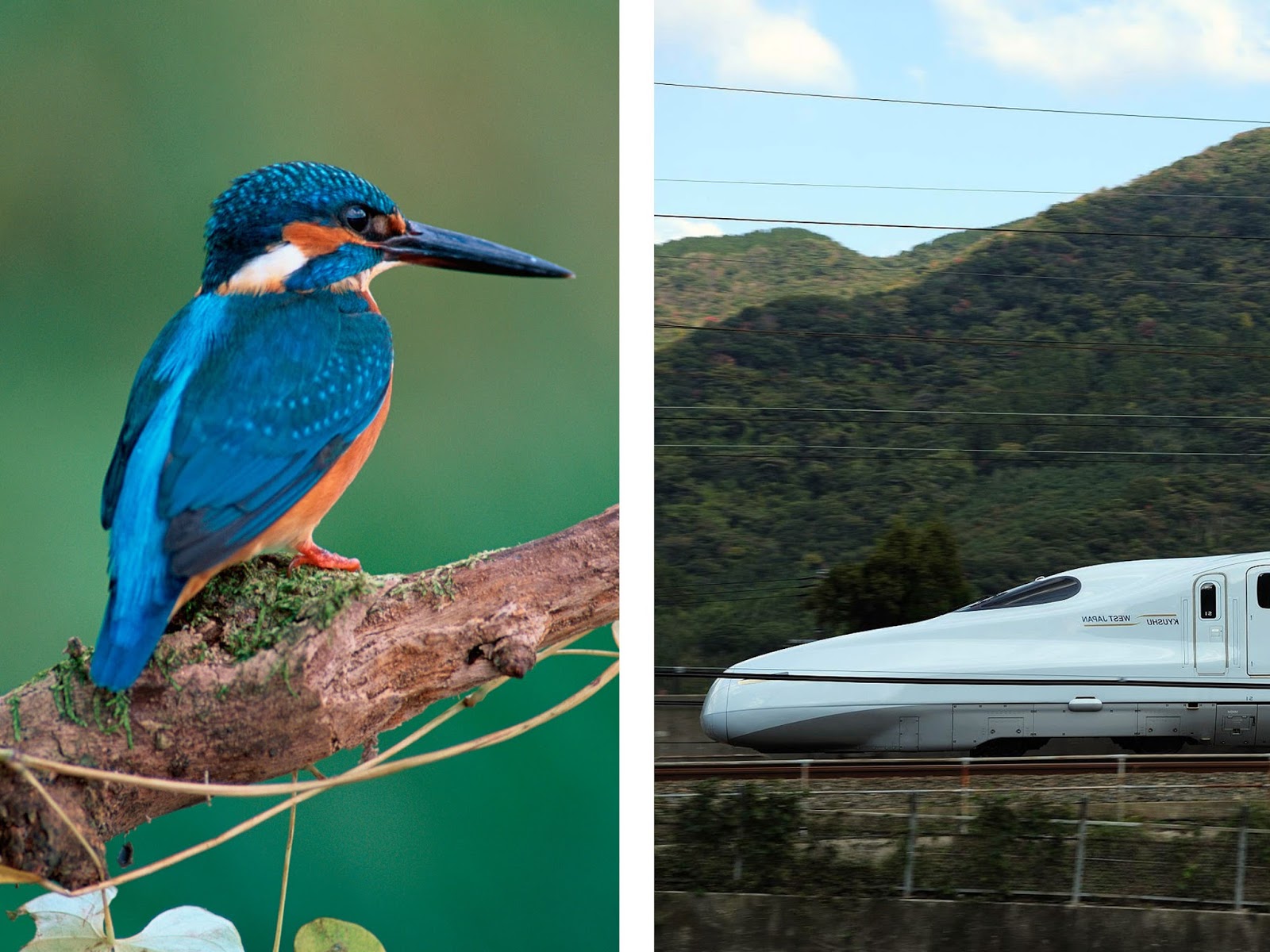 Shinkansen Bullet Train | Bio-Inspired Design
