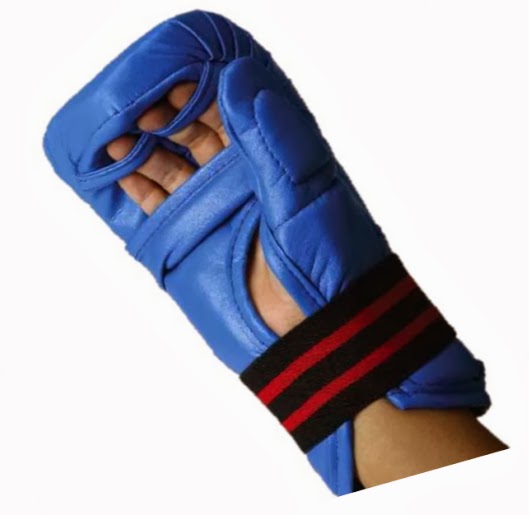 Pavellas and Kenpo: What Kind Of Sparring Gear To Use?