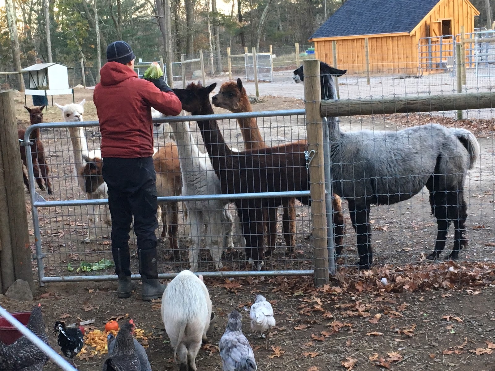 Dispatch from the Digital Health Frontier: Unity Farm and Unity Farm ...