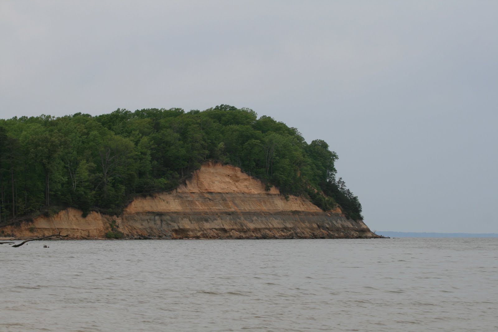The Good, the Bad, & the Outdoors: Battle Creek Cypress Swamp to ...