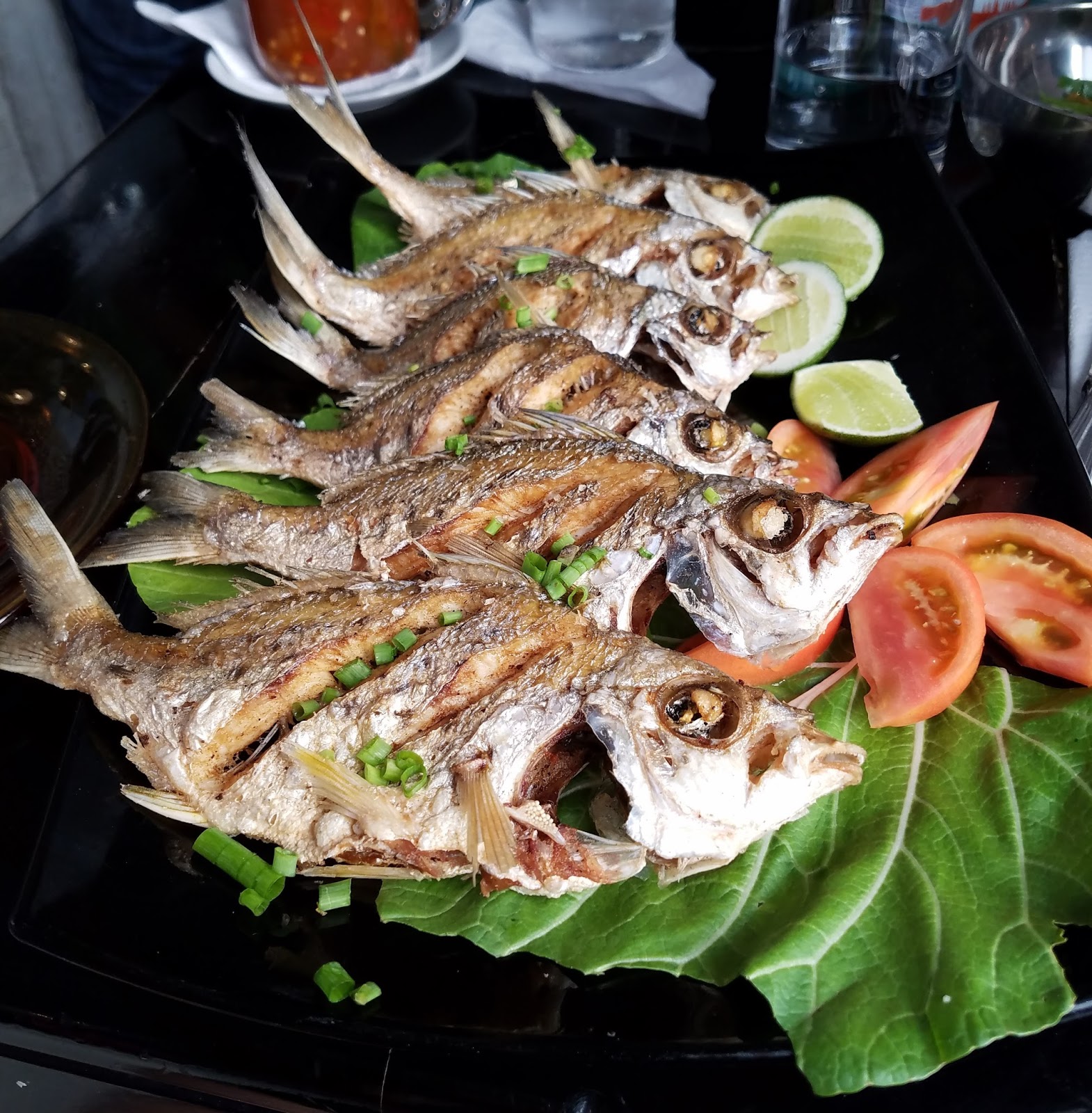 California Babble.....blah blah blah blahg