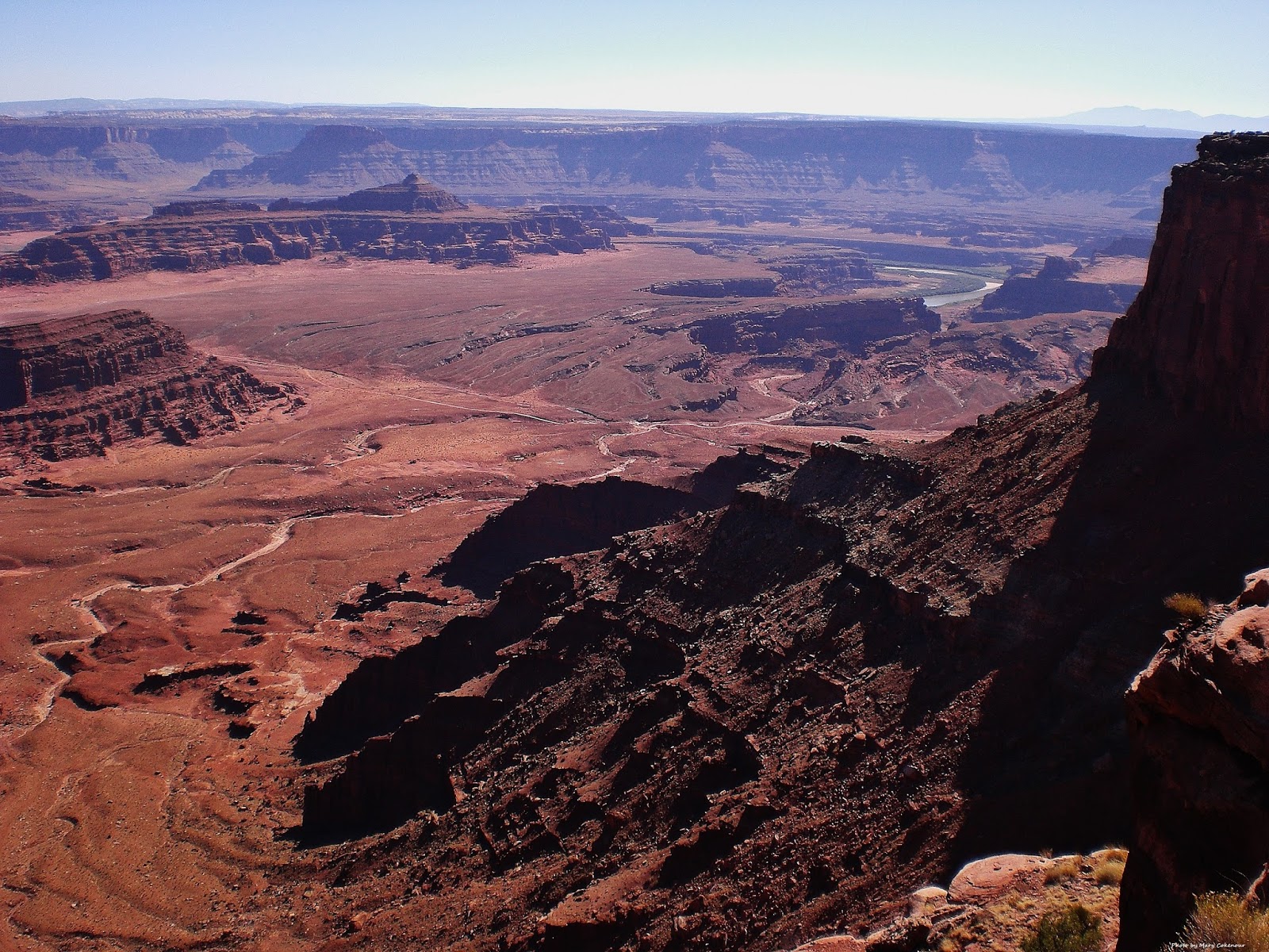 The Southwest Through Wide Brown Eyes: The Ghostly Mustangs of Dead ...