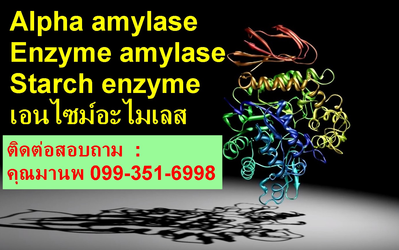 High Performance alpha-amylase Enzyme | ขายเอนไซม์ คุณภาพสูงจาก ญี่ปุ่น