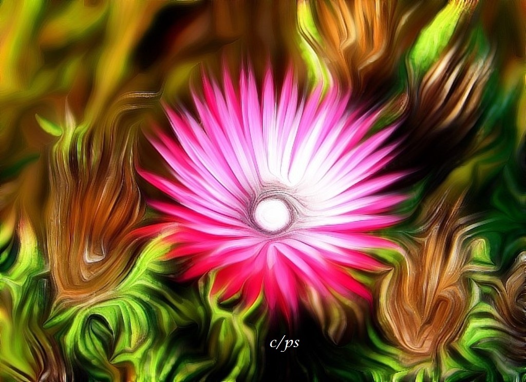 ps-pictureshop: Blumen, flores, Flower, fleurs, květiny, Flores, blomme ...