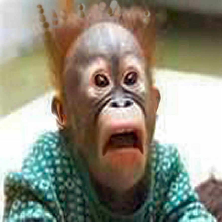 The Carroll Bryant Collection: Monkey Shock