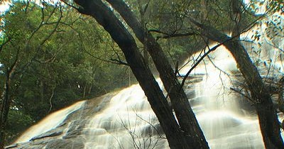 Tamilnadu Tourism: Kiliyur Falls, Yercaud