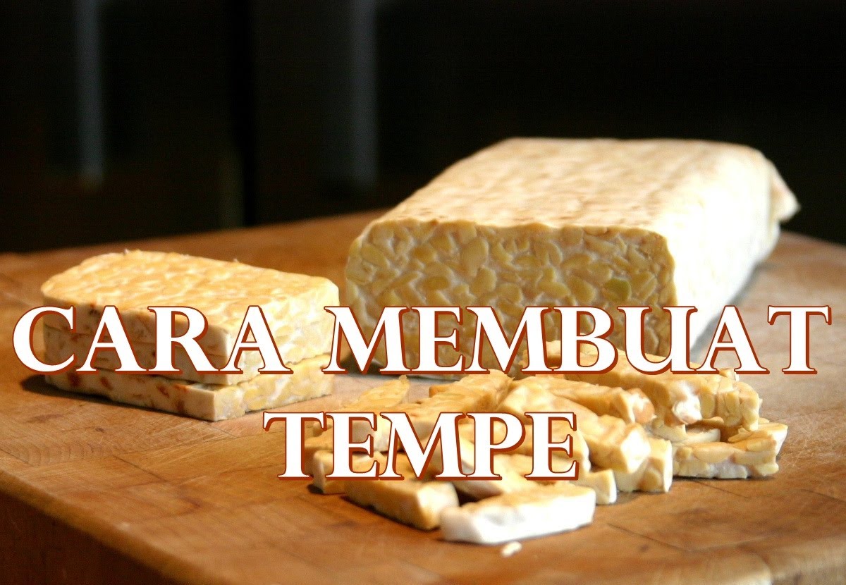 Cara Membuat Tempe Sendiri di Rumah Yang Enak ~ resep masakan indonesia
