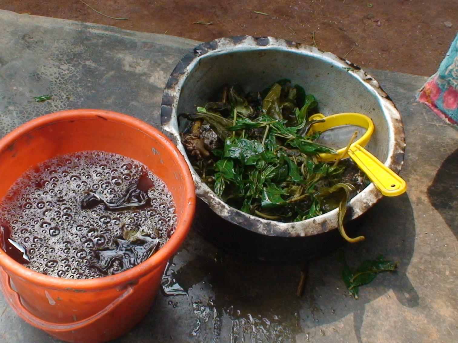 LUKWANGA COMMUNITY KNOWLEDGE CENTRE: Treating malaria locally in Lukwanga
