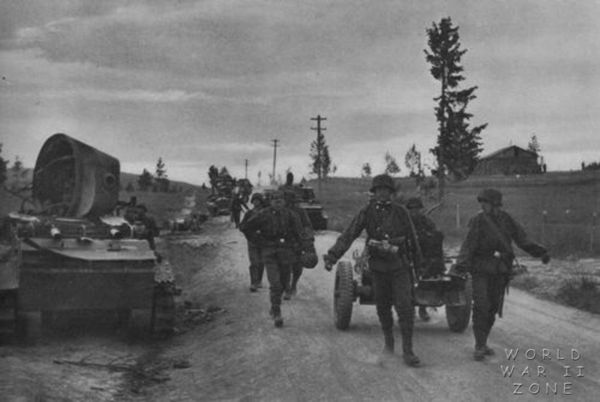 Armour force / Panssaroitu voima : 6th SS Mountain Division Nord