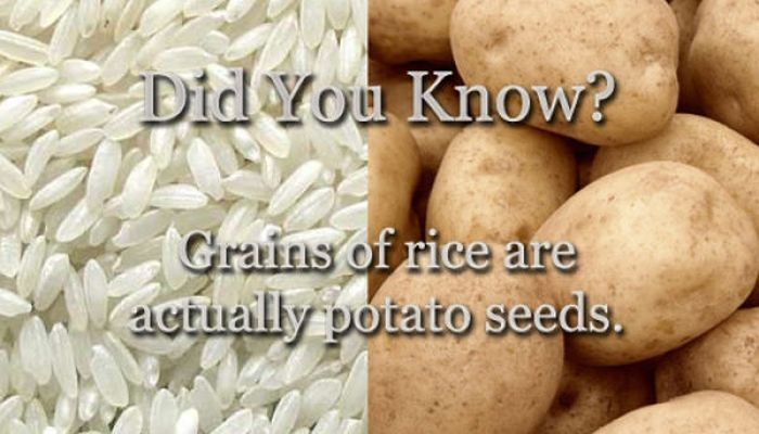 Did You Know? A Series of Unknown Facts - Have A Fun Here