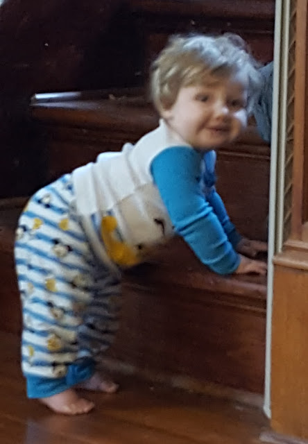 WHEN YOUR YOUNG ONES LEARN TO STAND UP...