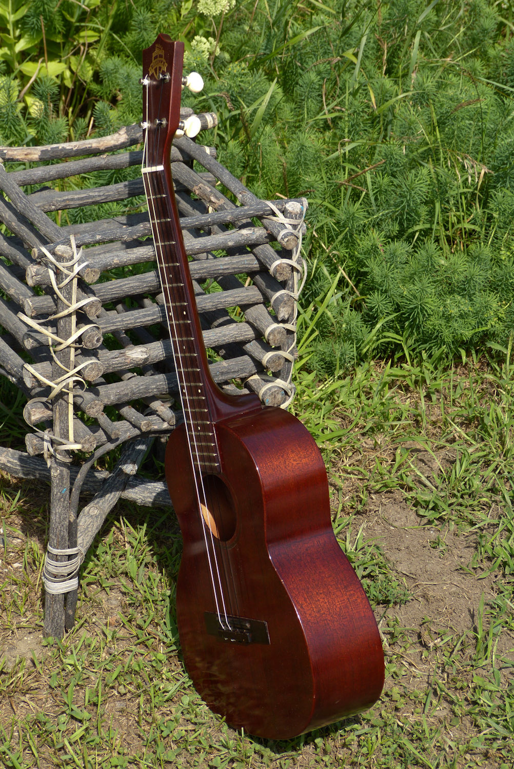 1960s Favilla Baritone Ukulele