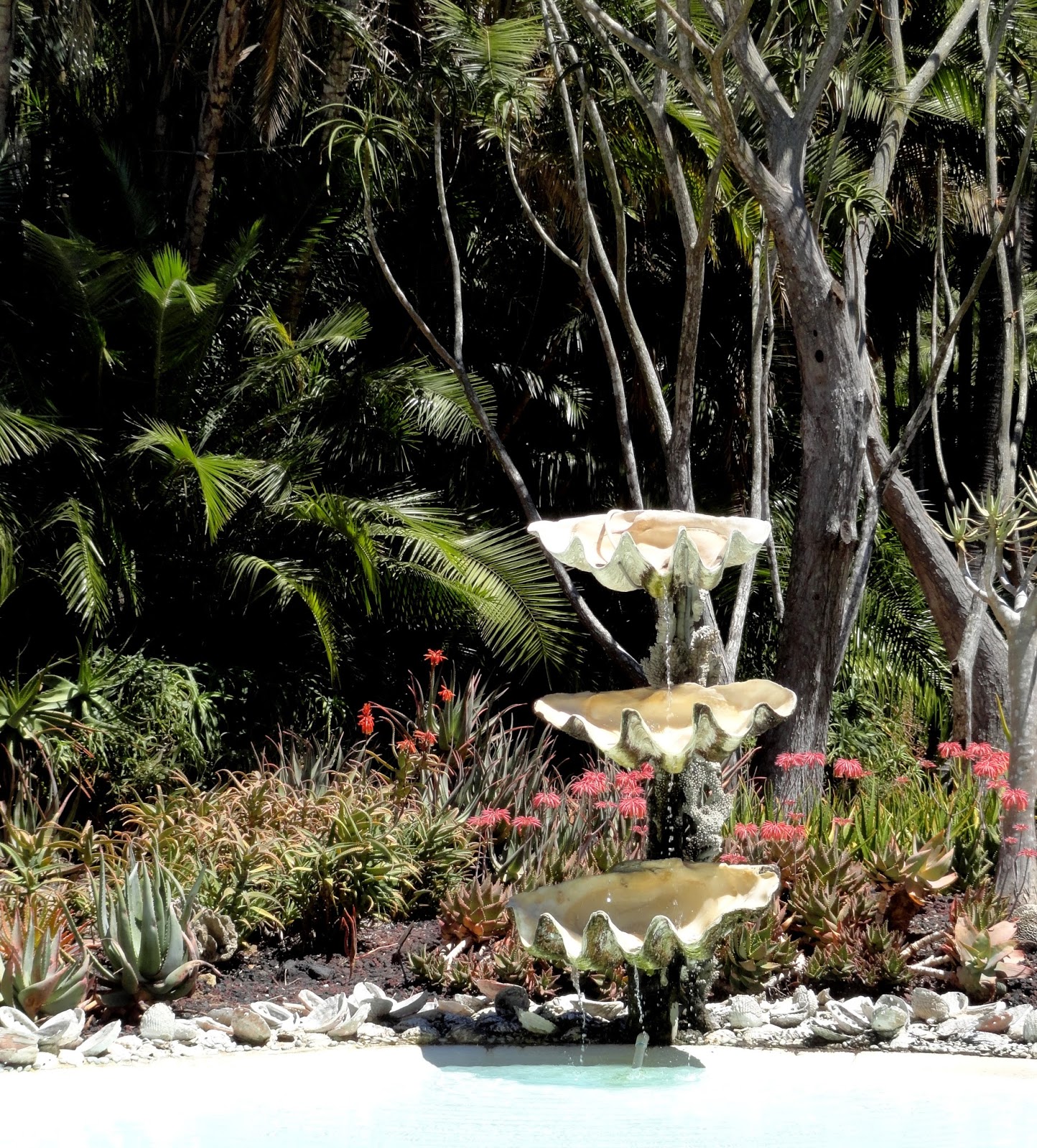 danger garden: The Lotus, at Lotusland