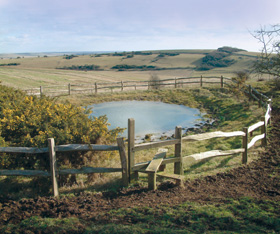 Temperate Climate Permaculture: Dew Ponds or Dieu Ponds