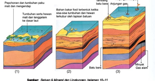 Batubara ~ NeededThing