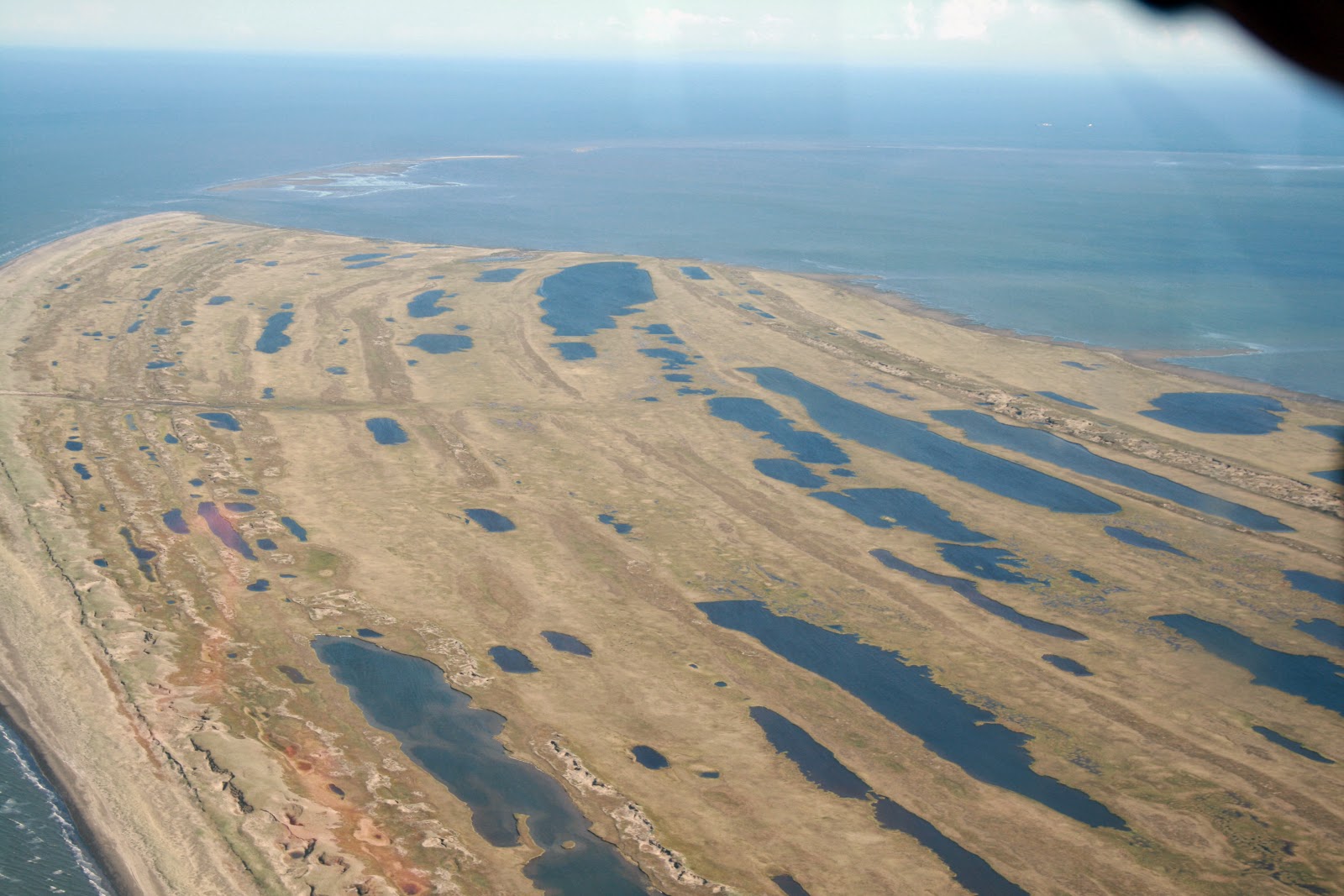 Globalhistorie: Asiatiske handelsfolk i Amerika før Leiv Erikson