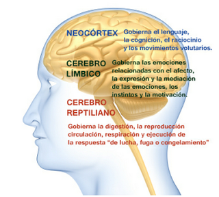 Comentarios Sin Límites: Jurgen Klarić: Neuromarketing