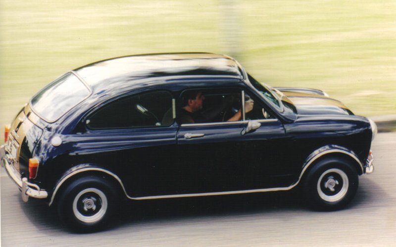 Bolly Blog: Fastback Minis