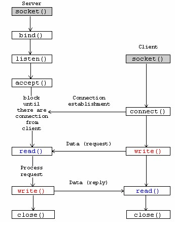 Computer Science Geeks: socket programming