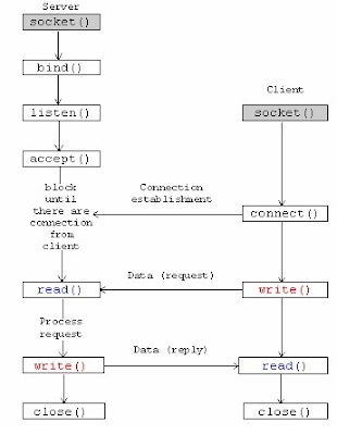 Computer Science Geeks: socket programming