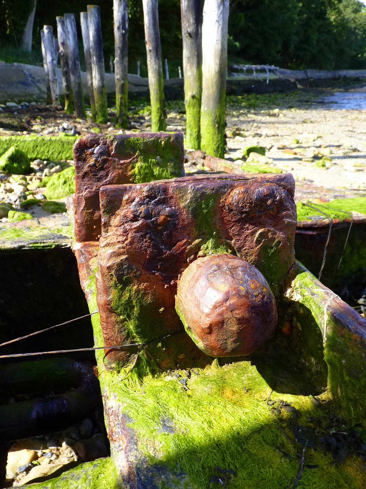 Birding For Pleasure: Birds and Binstead Beach