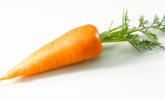 MSD PURÉPERO - Biblioteca Pública "Luis Murguía Guillén": La Zanahoria