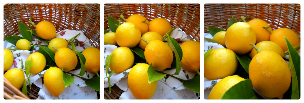 PRIČA O JEDNOM LIMUNU, malo uspomena i pokoji recept