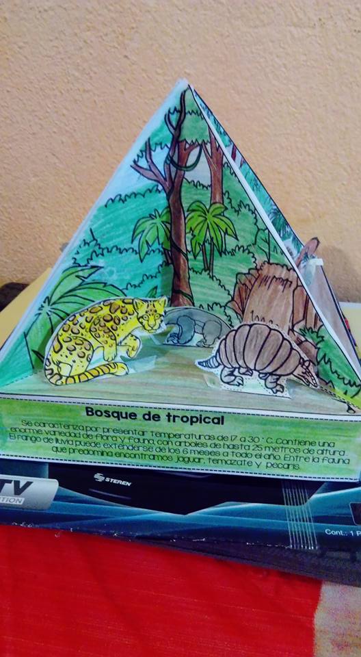 "TRIORAMA 3D" Los Ecosistemas Material didáctico - MATERIAL DIDACTICO