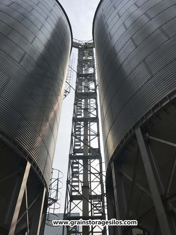 Taian Shelley Engineering Co., Ltd.: Grain Silo Project was ...