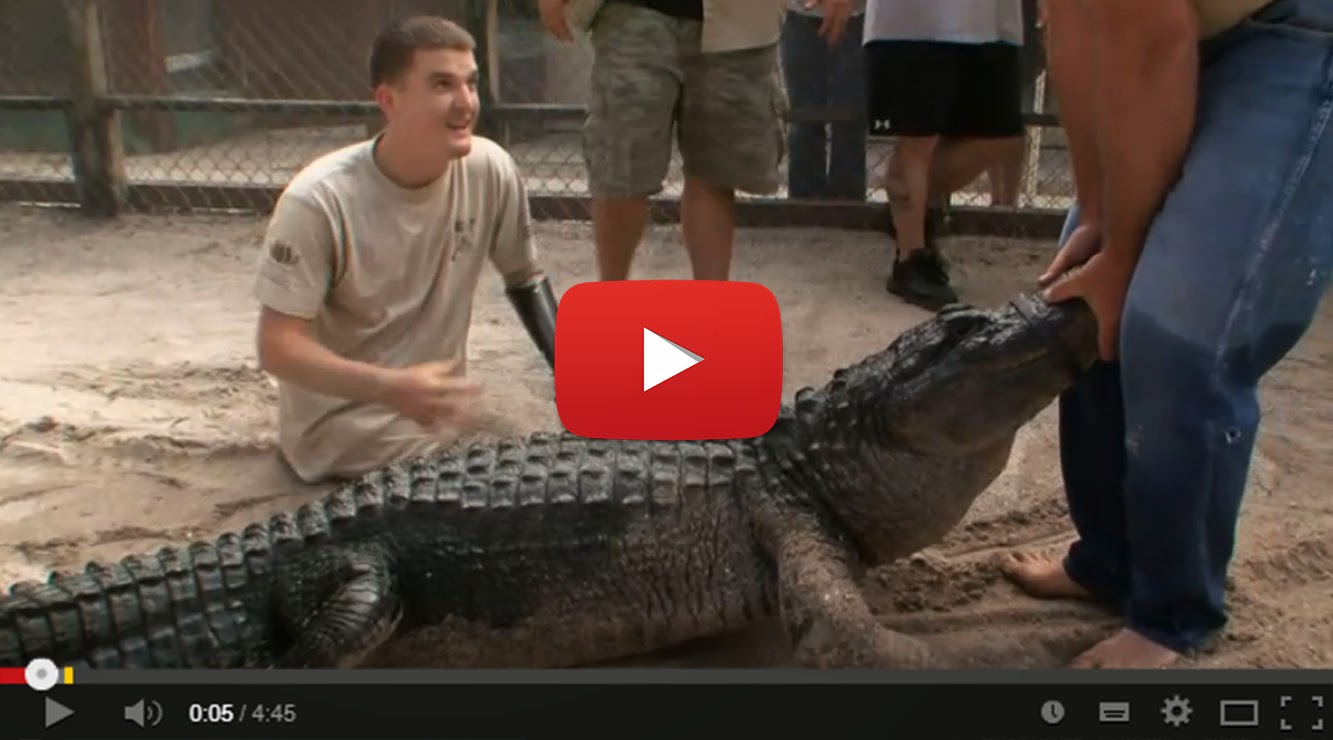 Watch the death-defying exploits of the Gator Boys ~ Dolby Designs