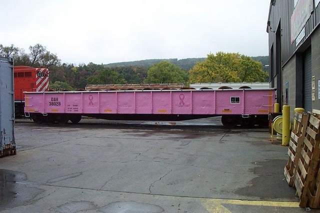 CP Rail Manitoba & Minnesota Subdivision: Railways and Breast Cancer ...