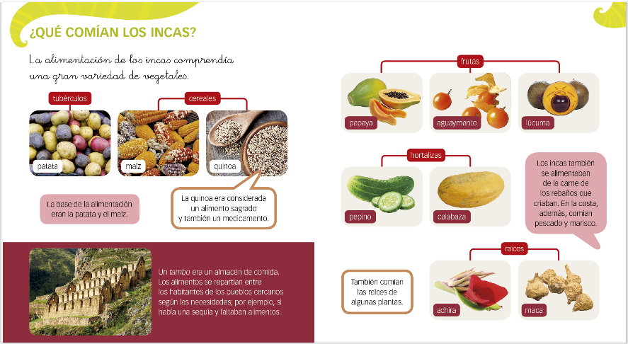 El blog de la clase (2016-18): ¿De qué vivían los incas?