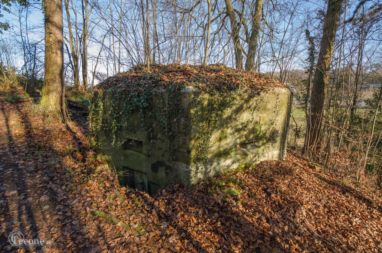 World of Teeone: Position de Morat: Löwenberg