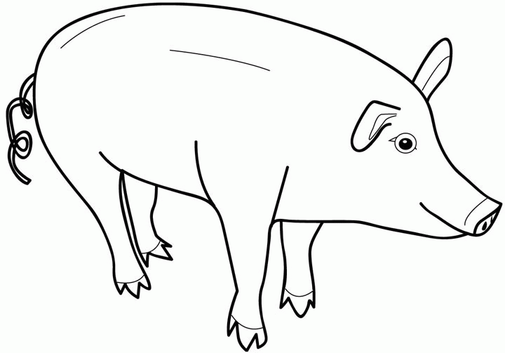 IMAGINI de colorat cu animale DOMESTICE :: Fise de lucru - gradinita si ...