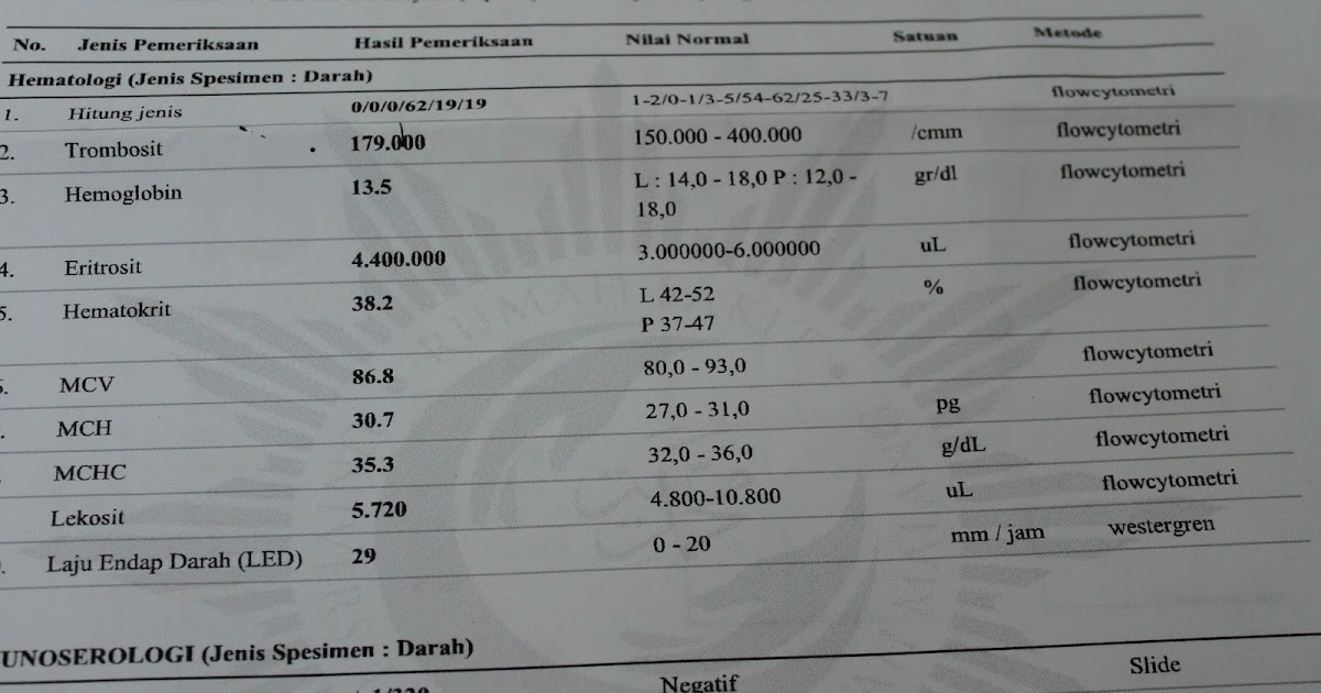 Amalia Sardjono: Pengalaman Demam Berdarah DB DBD