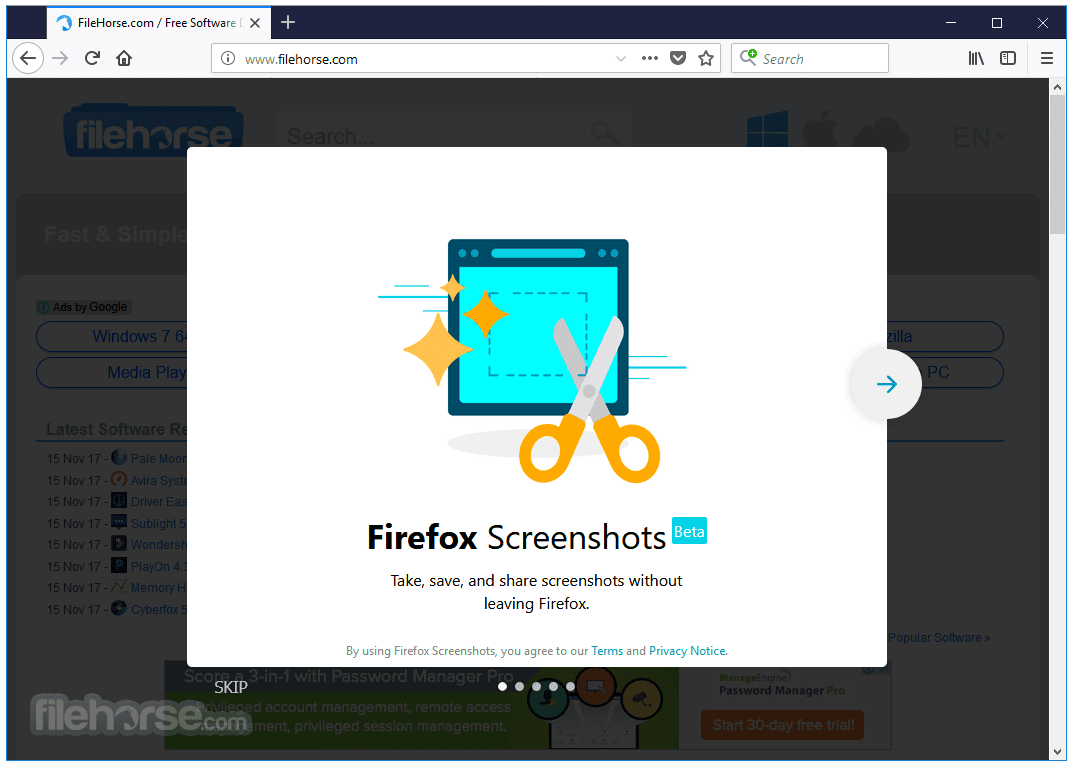 Firefox (32-bit) - Game play