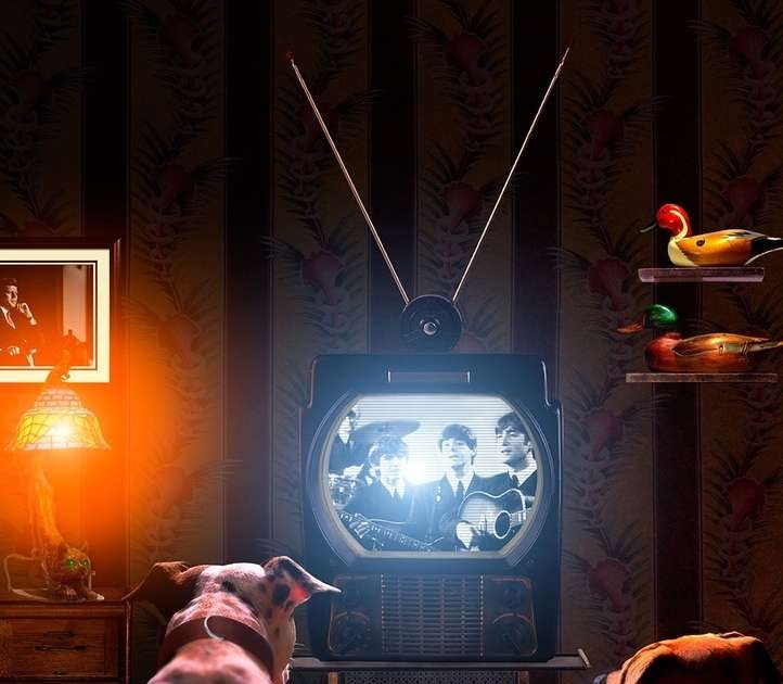 SNEAK PEEK : DOGTV: A New Breed Of Television