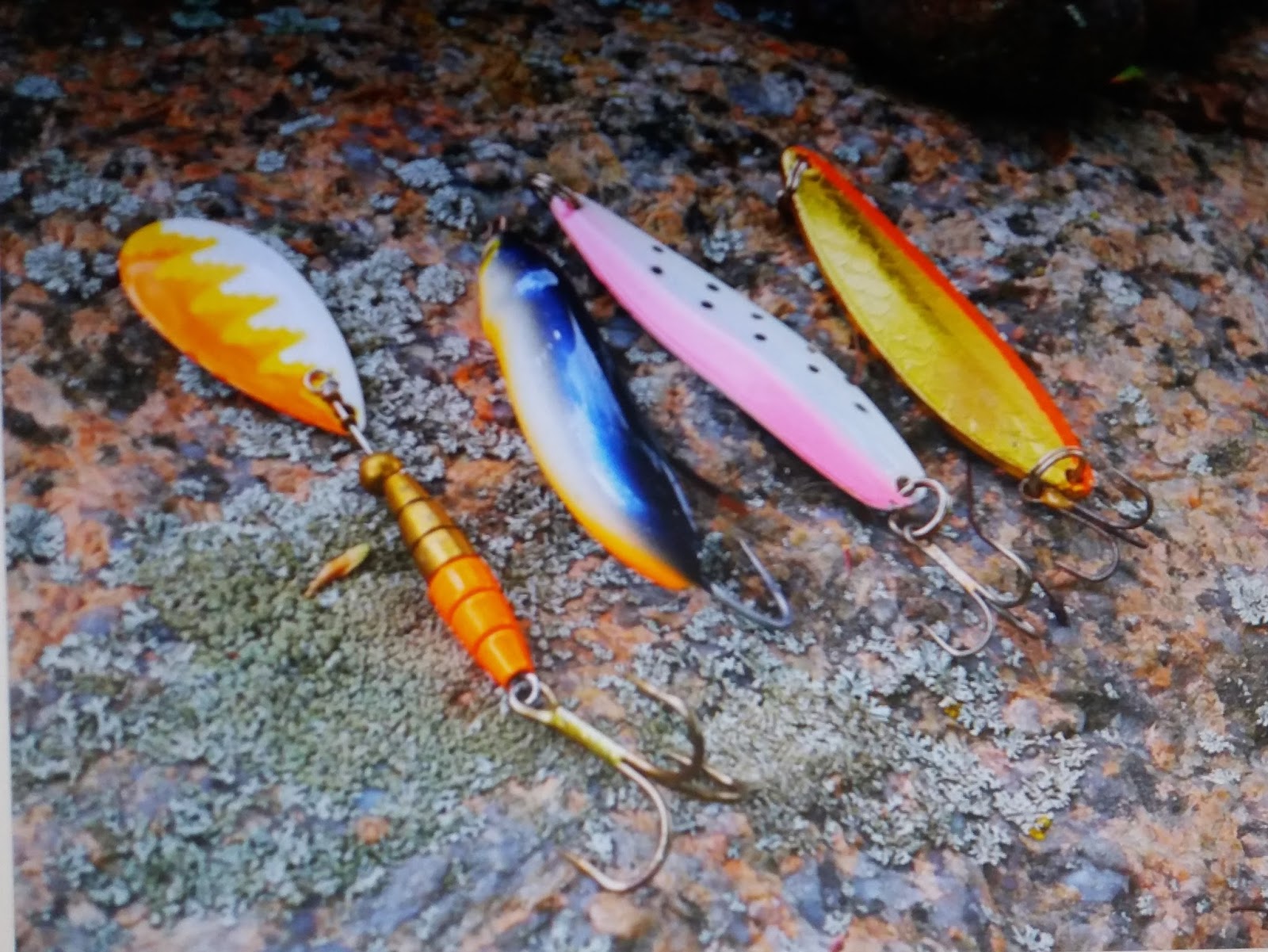 Keidashetki: Ei tuomareita vaan kalastajia!