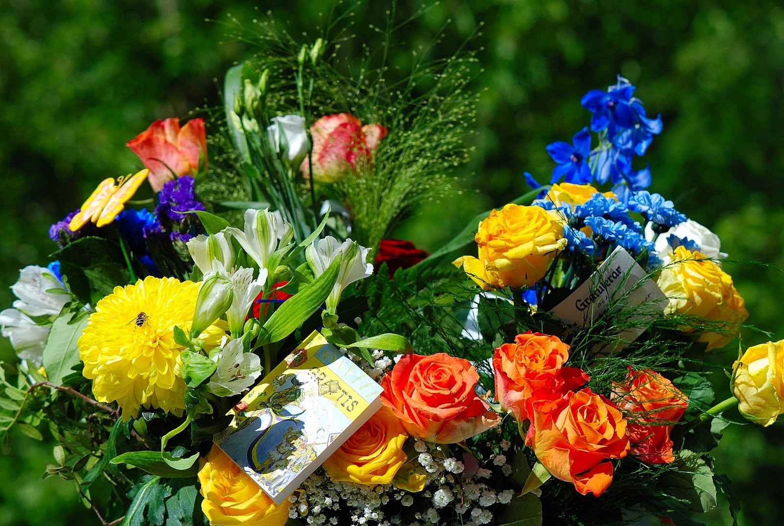 Fröken Kråknäs: Så många vackra blommor